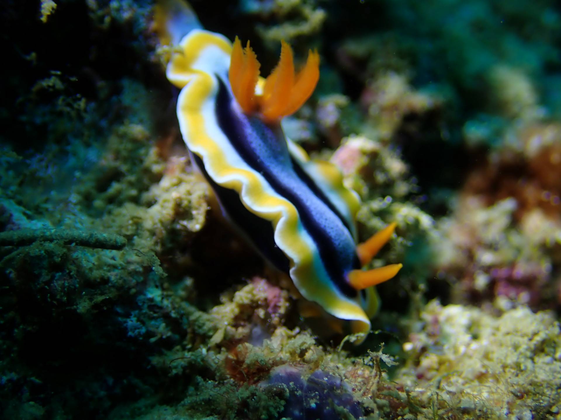 Wisata Alam - Disparekraf Halteng